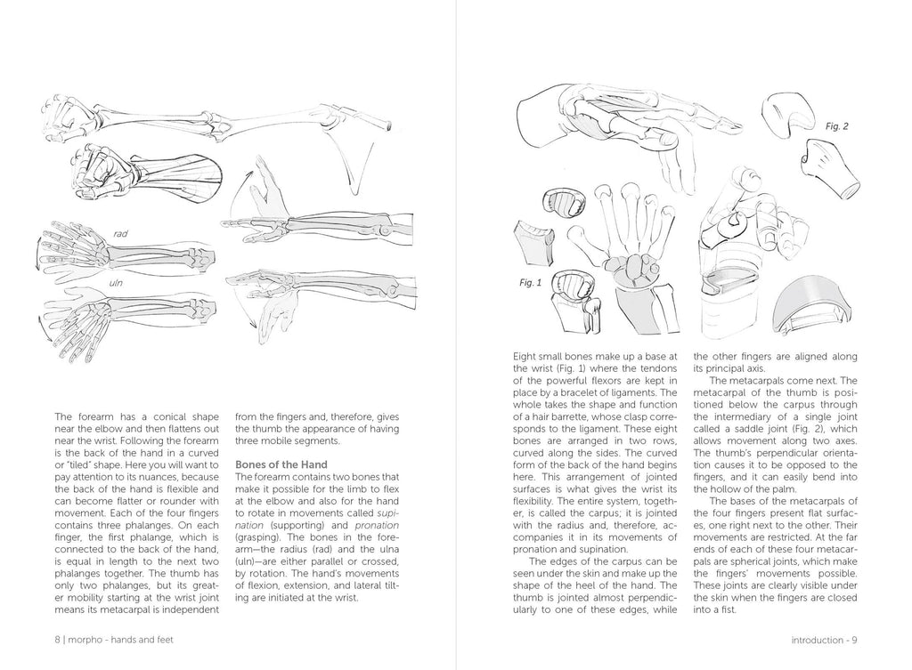 Morpho: Hands And Feet: Print – Nevada Fine Arts